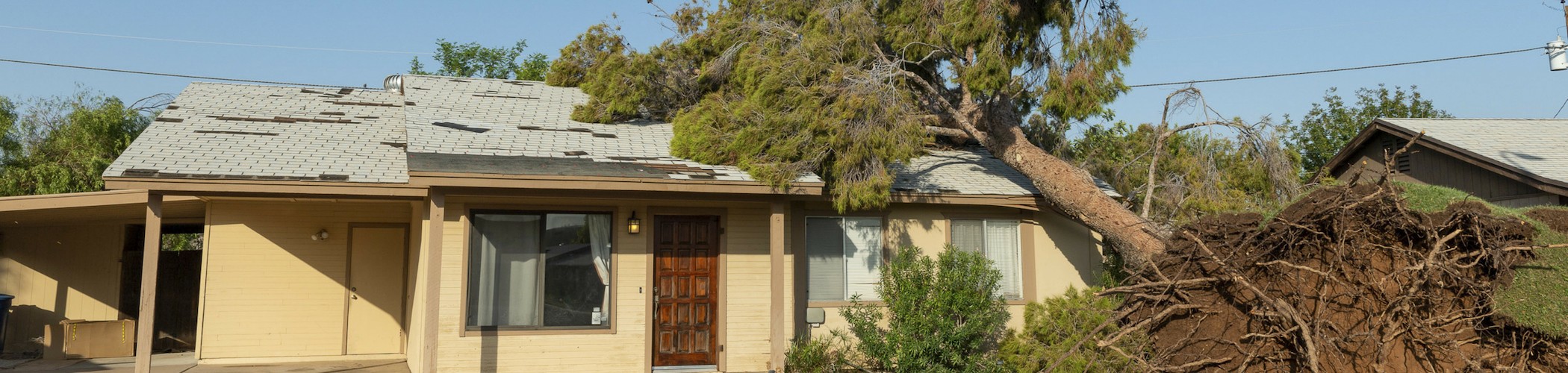 If a Neighbor’s Tree Falls on my House, Who is Responsible?