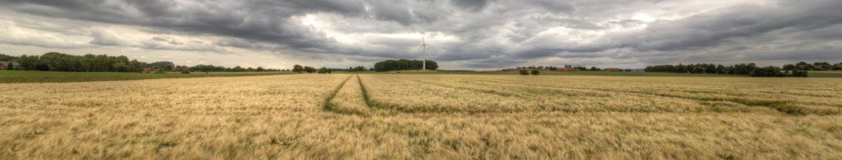 What is Crop Hail Insurance and What Does it Cover?
