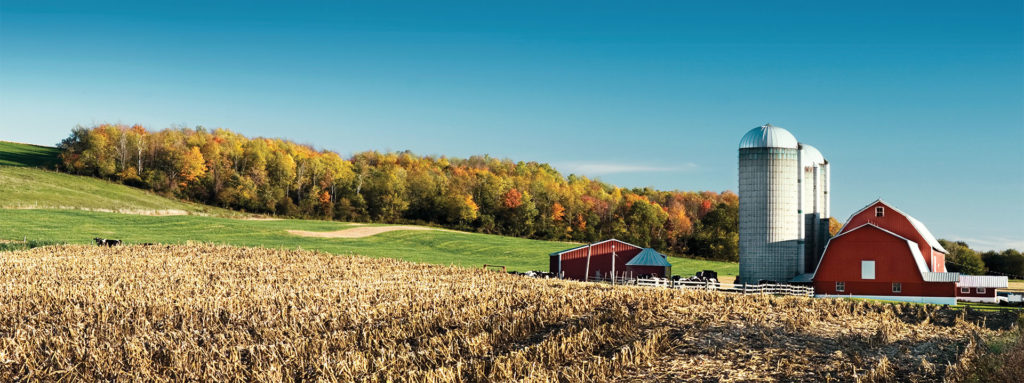 Farming Advice and Tips | Rural Mutual Learning Center