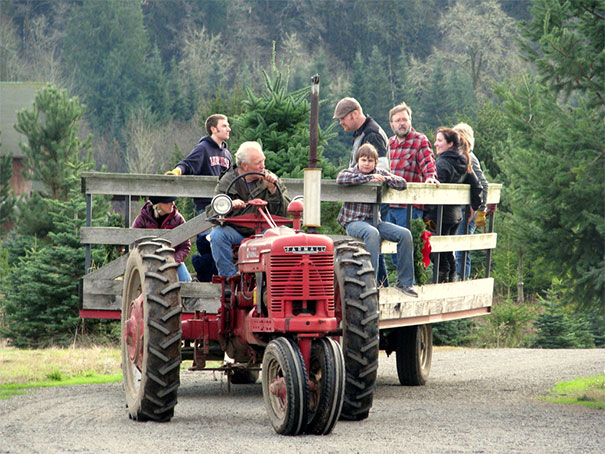 Keeping Hayrides Safe for Children | Rural Mutual Insurance