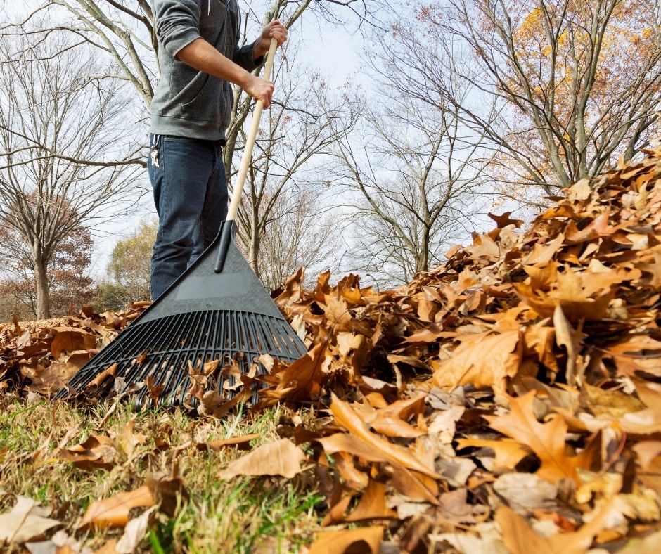 Tips to Prepare Your Lawn and Garden for Fall - Rural Mutual Insurance