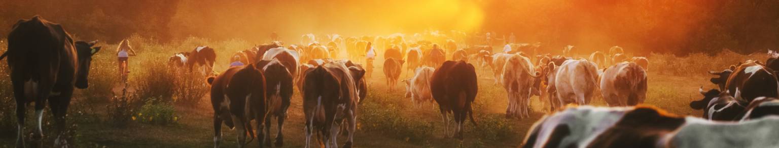 Healthy Farm and Agriculture Hygiene Practices - Rural Mutual Insurance