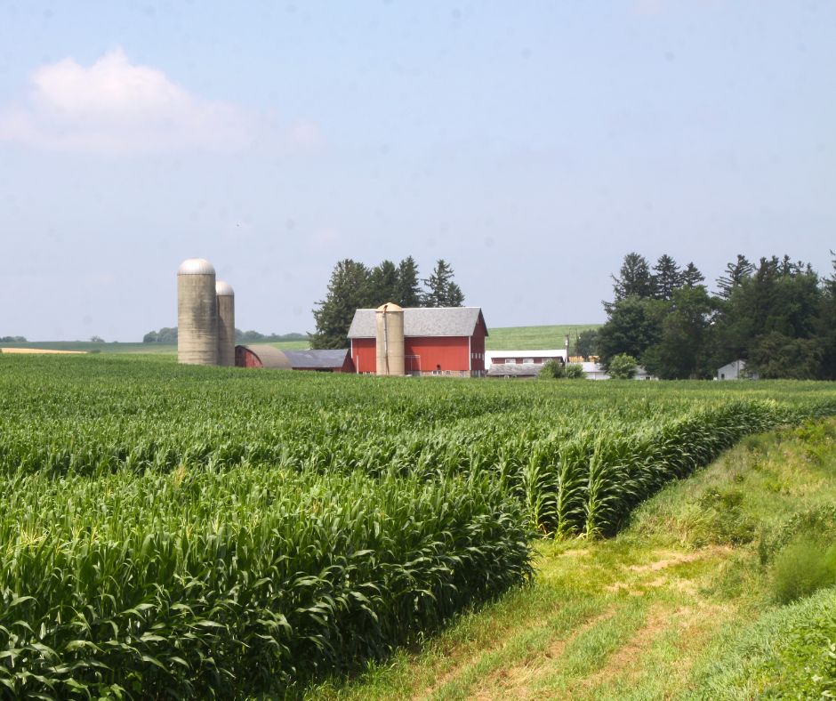 Start the New Year with Custom Farm Coverage - Rural Mutual Insurance