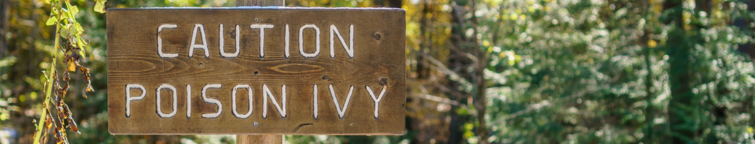 Protect Yourself From Poison Ivy Rural Mutual Insurance Company