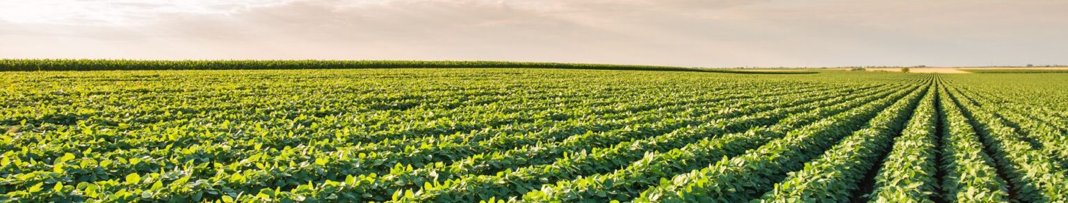 Best Farm Insurance in Wisconsin | Rural Mutual
