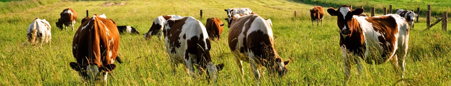 Healthy Farm and Agriculture Hygiene Practices - Rural Mutual Insurance