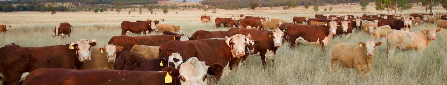 Best Farm Insurance in Wisconsin | Rural Mutual