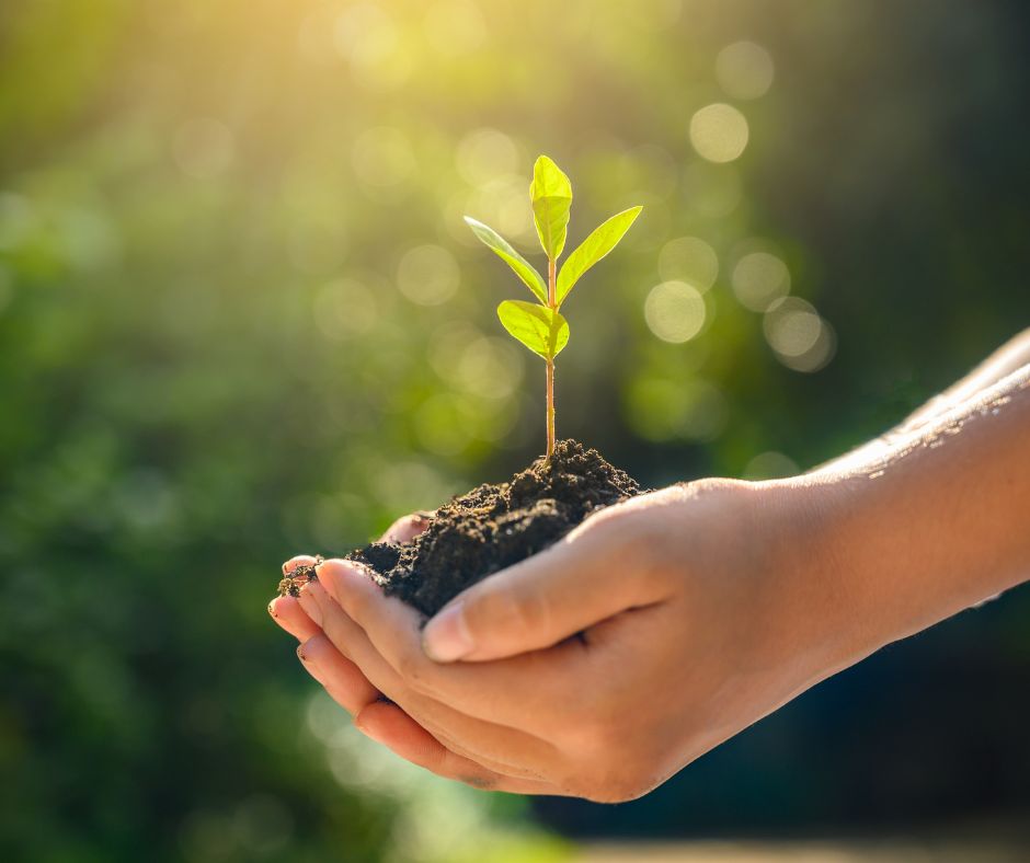 5 Conservation tips from a Wisconsin farmer